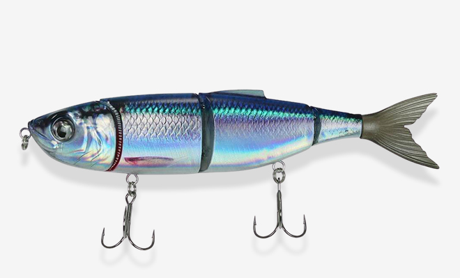 Explore Freshwater and Saltwater Fishing Lures and Rods - Savage Gear US