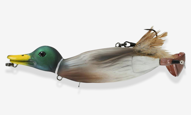 Explore Freshwater and Saltwater Fishing Lures and Rods - Savage Gear US