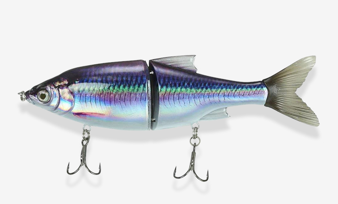 Explore Freshwater and Saltwater Fishing Lures and Rods - Savage Gear US