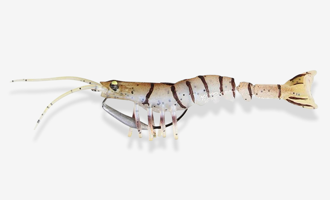 Explore Freshwater and Saltwater Fishing Lures and Rods - Savage Gear US